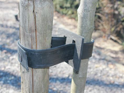 Tree Tie Greenmax Tree Anchoring