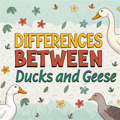 Differences Between Ducks And Geese A Comprehensive Guide