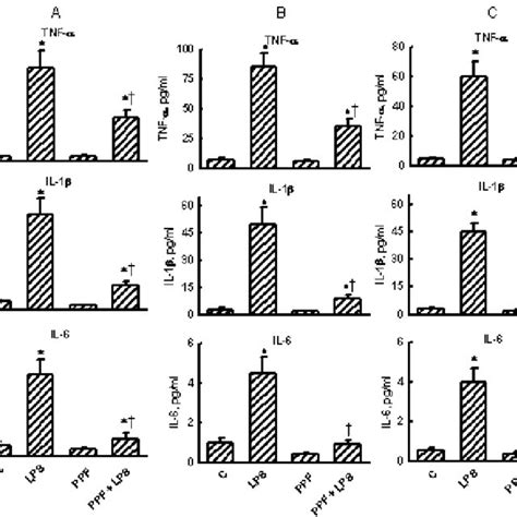 Effects Of Propofol On Lps Enhanced Tnf α Il 1β And Il 6 Protein