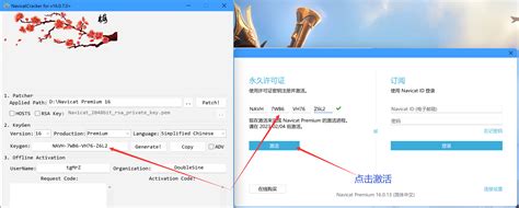 Navicat 16永久激活破解教程 动鱼小窝