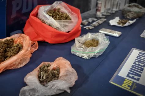 La Pdi Arresta A Una Pareja Que Vendía Marihuana A Través De Redes