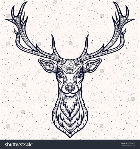 Vector Illustration Whitetail Deer Head Stock Vector Royalty Free