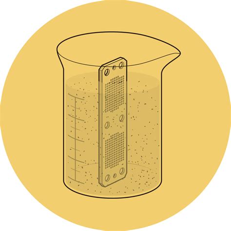 The Age Of Infection Foreign Policy