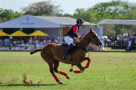 The Best Polo The Dominican Republic Has Ever Seen Casa De Campo Living
