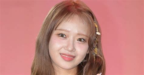 최유정 해바라기 돌아가신 할아버지와의 추억…제게 소중한 의미 조선비즈