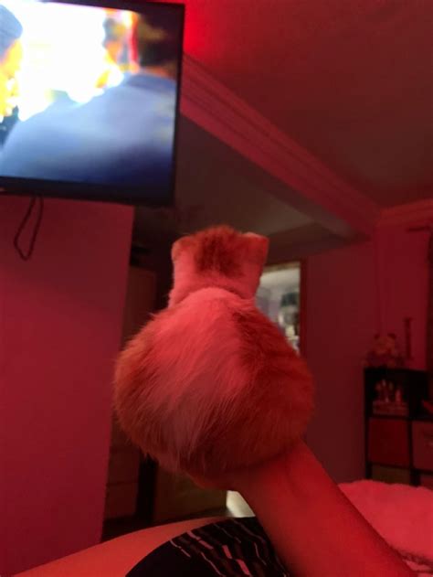 Pin De Sofi En Meow Arte Cabello