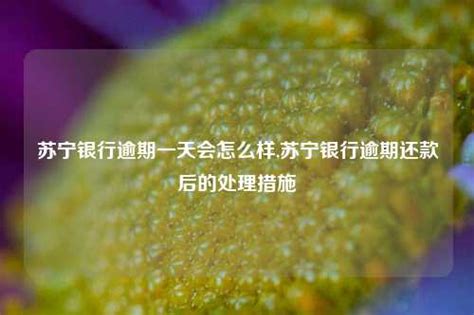 苏宁银行逾期一天会怎么样 苏宁银行逾期还款后的处理措施 深圳房地产信息网
