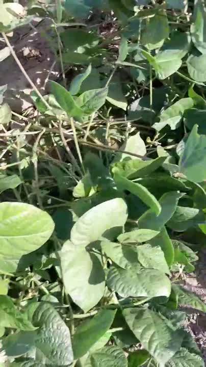 Anvar Khan On Linkedin New Gbm