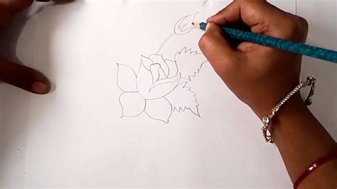 نحوه کشیدن گل هنر مداد طراحی با مداد نقاشی با مداد