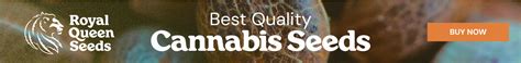 Inzane In The Membrane Ethos Genetics Cannabis Strain Info