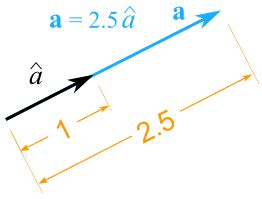 Unit Vector