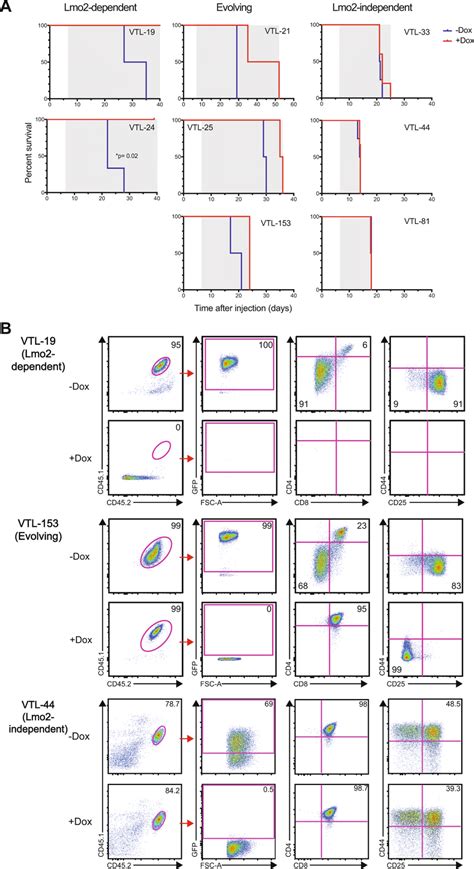 lmo2 induces lmo2 dependent evolving and lmo2 independent t all a