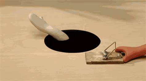 Hole Mouse Trap  Hole Mouse Trap Oops Discover And Share S