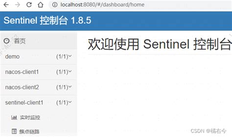 Sentinel搭建控制面板不显示项目sentinel控制台查看不到项目 Csdn博客