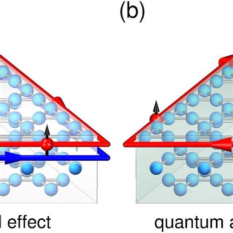 Predicted Quantum Hall Effects In Doped Herbertsmithite A Quantum