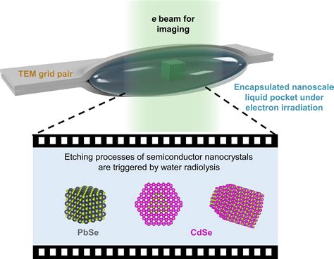 Liquid Cell Transmission Electron Microscopy Analysis Of Semiconductor