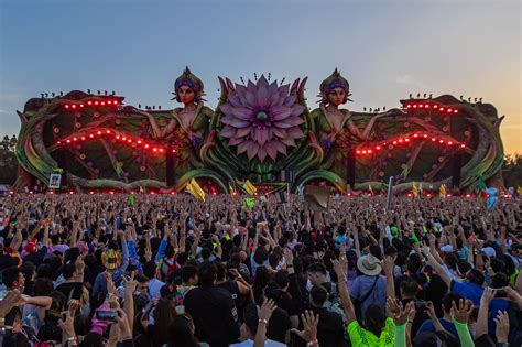 Edc 2023 Discapacidad Y Perreo Otras Formas De Disfrutar El Festival