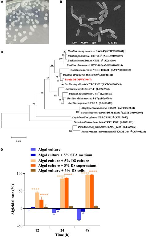 Frontiers Algicidal Characteristics Of Novel Algicidal Compounds