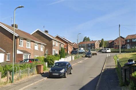 Woman 83 Fighting For Her Life After Being Savaged By Dog In Horror