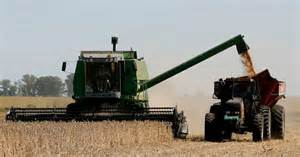 En Sólo Cuatro Años 6 500 Productores Dejaron De Sembrar Soja Por Qué