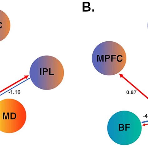 Dcm Effective Connectivity A Bf Modulation Under The Rest Condition