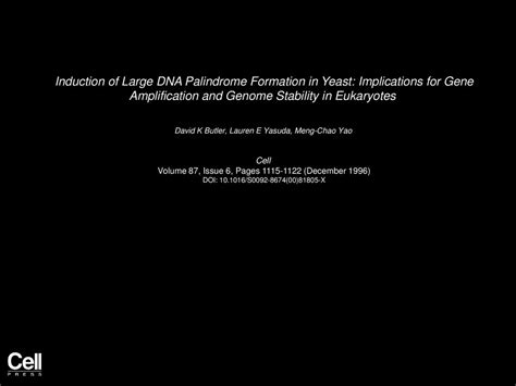 Induction Of Large DNA Palindrome Formation In Yeast Implications For