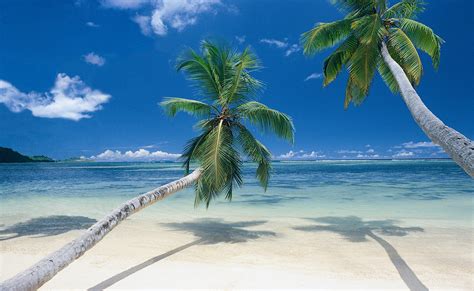 🔥 [100 ] Beach Scenes Wallpapers Wallpapersafari