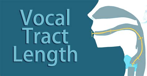 Vocal Tract Length Scinguistics