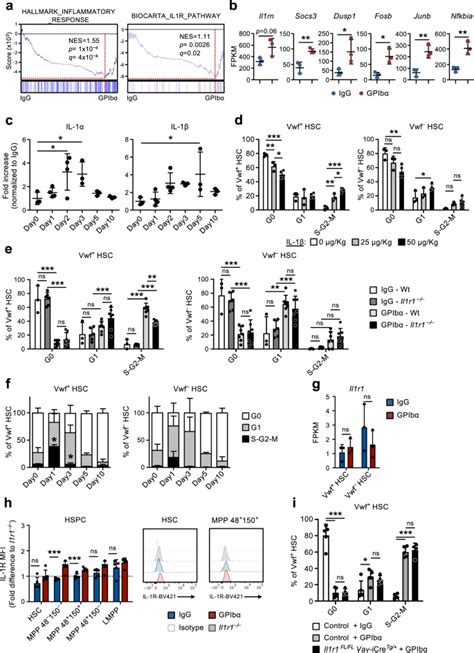 Perivascular Niche Cells Sense Thrombocytopenia And Activate
