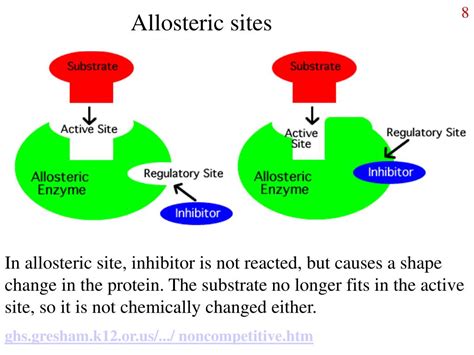 Ppt Basic Enzymology Powerpoint Presentation Id364307