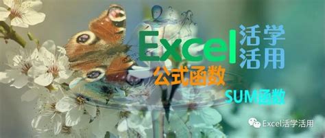 excel 公式函数 你确定你会用sum？ 知乎