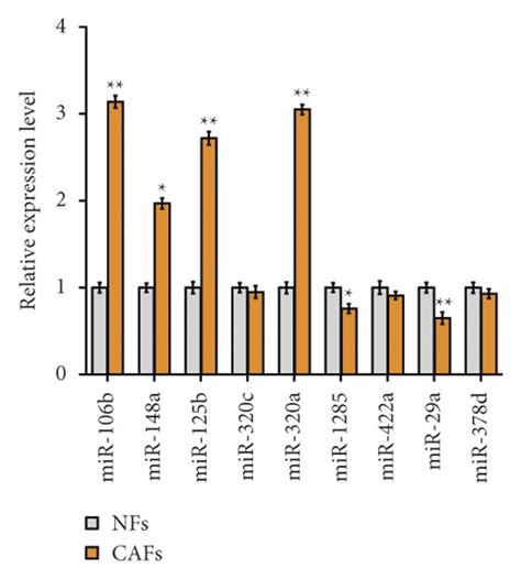 Exosomes Mediated The Transfer Of Mirna 320a From Cafs To Macrophages