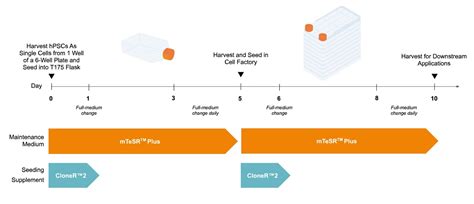 Large Scale Expansion Of Human Pluripotent Stem Cells Hpscs In 2d