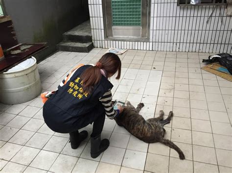 動保會長不送病狗就醫 堅稱沒做錯 社團法人中華民國保護動物協會