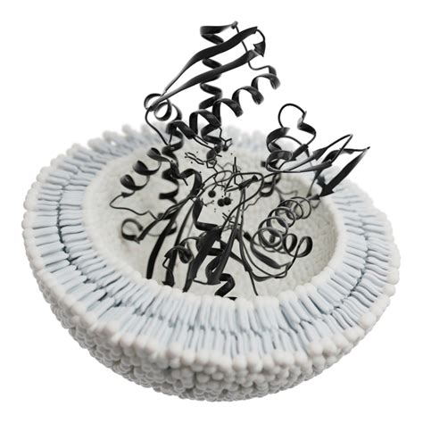 Innovative Exosome Stiffness Method Revolutionizes Lung Cancer Detection