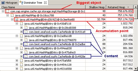 Finding Memory Leaks With Sap Memory Analyzer Sap Community