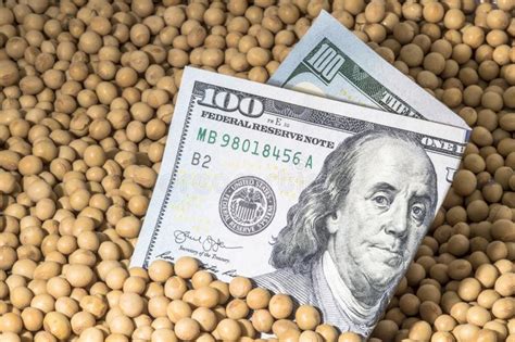 Para qué sirve el Índice Dólar Exportador AgroNoa