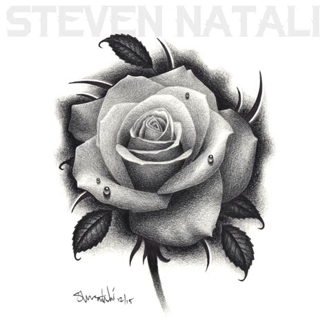 Rose Pen Drawing At Explore Collection Of Rose Pen