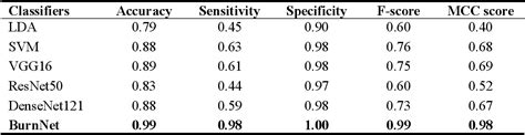 A Deep Learning Model For Burn Depth Classification Using Ultrasound