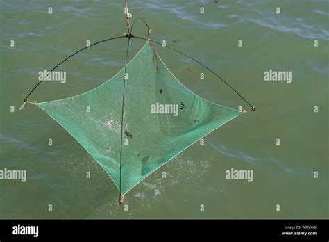 Fishing Net With A Crab In It Stock Photo Alamy