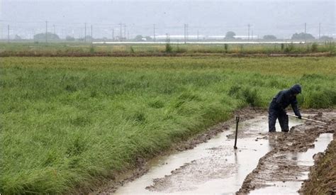 기후위기는 식량위기 上 이미 시작된 글로벌 밥상 전쟁