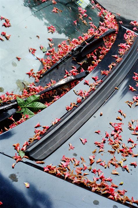 Marion Berrin Booooooom Create Inspire Community Art