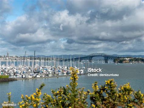 Bayswater Marina And Auckland Harbour Bridge 오클랜드 뉴질랜드 0명에 대한 스톡 사진 및