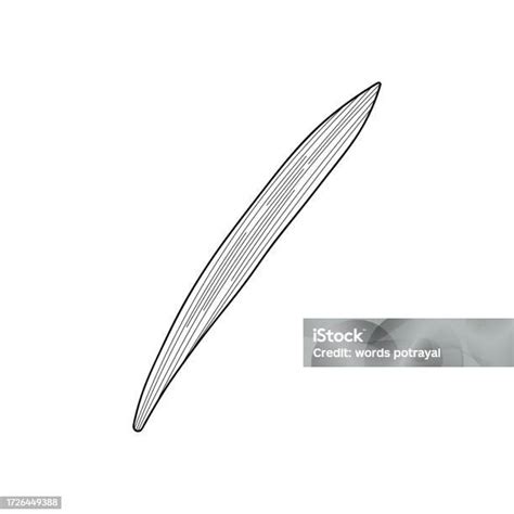 손으로 그린 아이들은 만화 벡터 일러스트레이션 잔디를 하얀 배경에 고립시킨다 0명에 대한 스톡 벡터 아트 및 기타 이미지 0명 나뭇가지 녹색 Istock