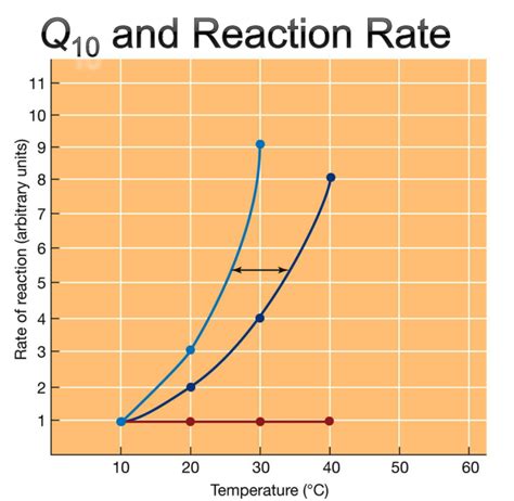 solved q10 and reaction rate