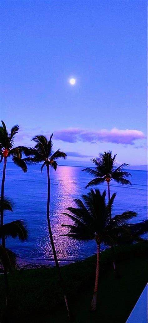 Purple Aesthetic Phone Wallpaper
