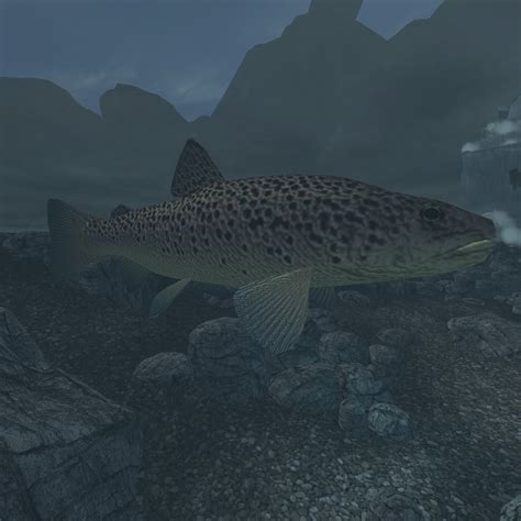 Tamriel Data Trout The Unofficial Elder Scrolls Pages Uesp