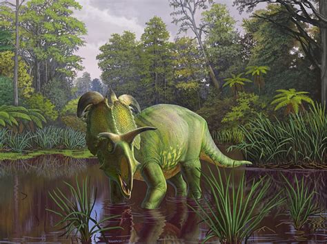 Nuevo Hallazgo Paleontológico Lokiceratops El Dinosaurio Con Cuernos
