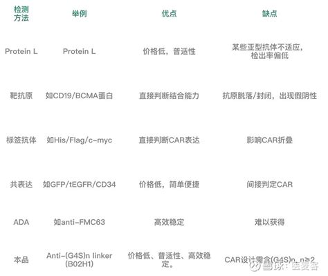 通用car阳性率检测新工具 anti g4s n linker 流式抗体 引 言 质量为先 创新为本 还在因为car t研究中体外和体内检测
