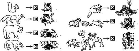 Домашнее задание для детей подготовительной к школе группы по лексической теме «Дикие животные и